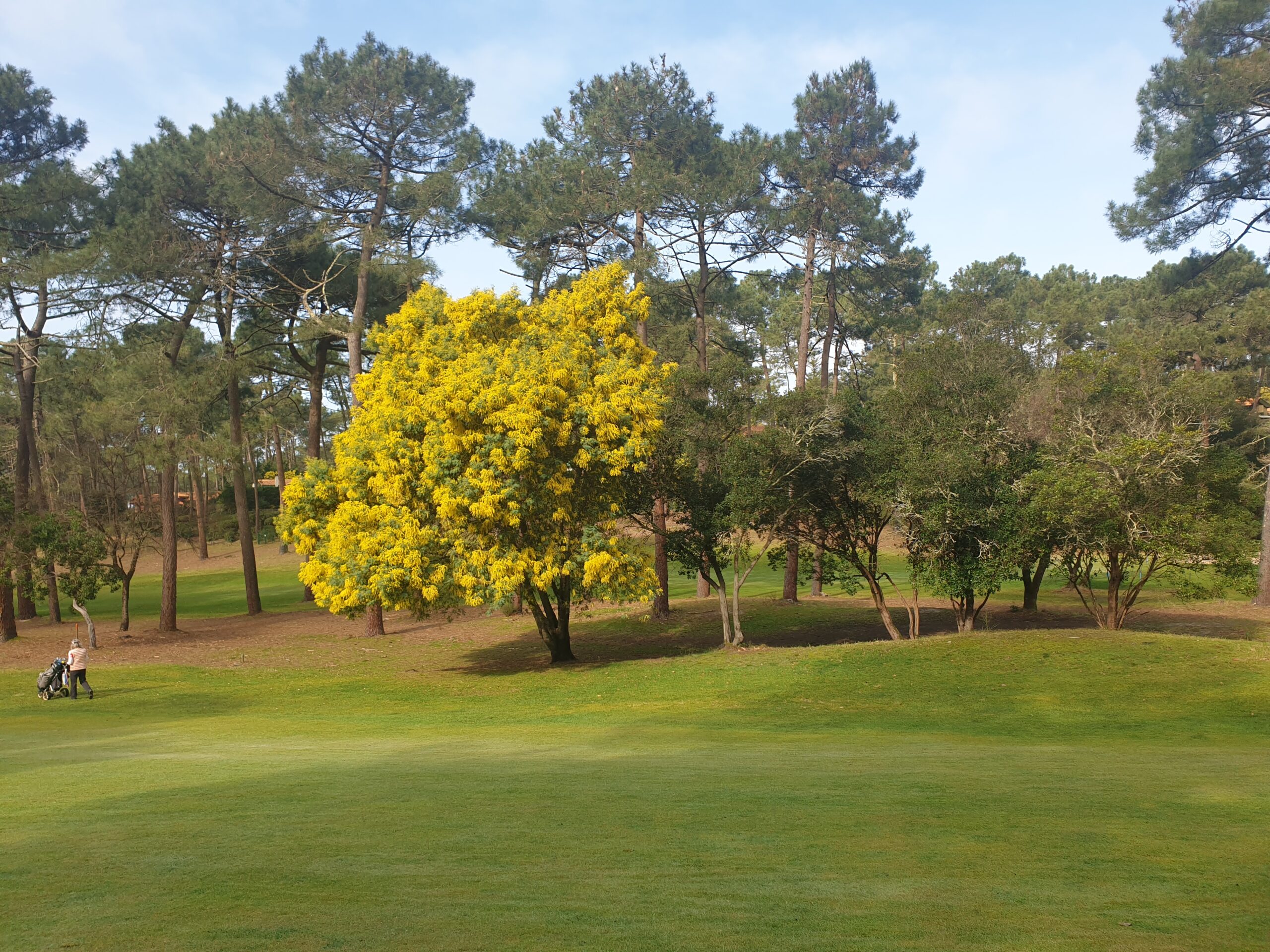 Le golf c'est toute l'année à Balata - Balata Golf Medoc